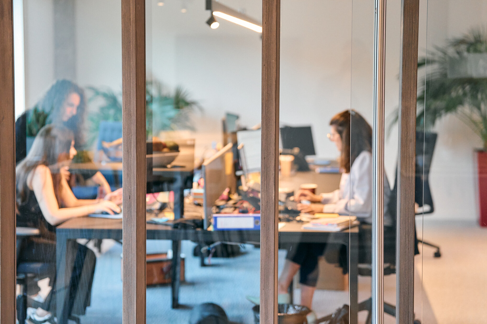 aevi insurance – KBC Verzekeringen